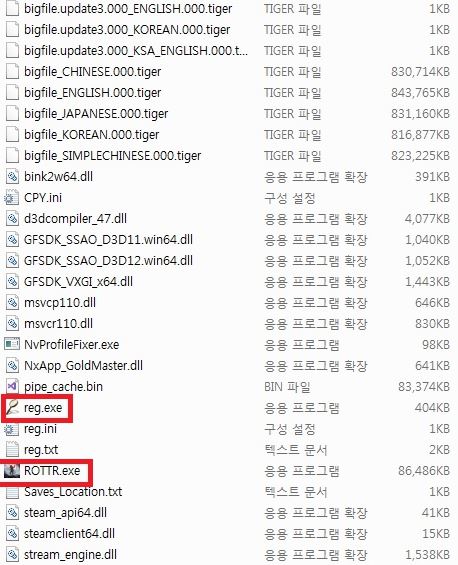 [한글무설치] 라이즈 툼레이더 20YEAR (Part1/2) - 케이디스크